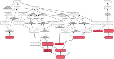 Directed Acyclic Graph Dag For Go Enrichment Analysis Of Delgs Red