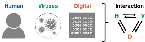 Human Virus Interaction Framework Download Scientific Diagram
