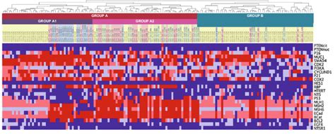 Hierarchical Clustering Of Tumors By Gene Expression Determined By Download Scientific Diagram