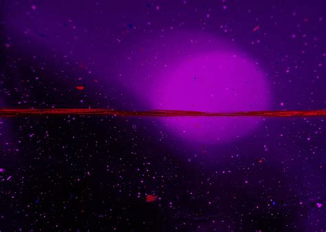 tu wien informatics on linkedin full professor of programming