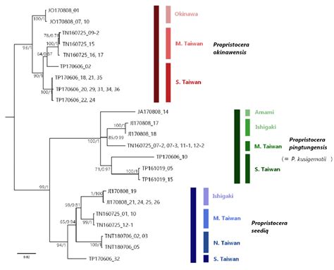 Bayesian Inference Tree Based On The 28sco1 Sequence Dataset Download Scientific Diagram