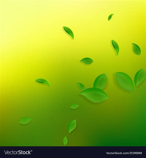 Falling Green Leaves Fresh Tea Chaotic Fly Vector Image