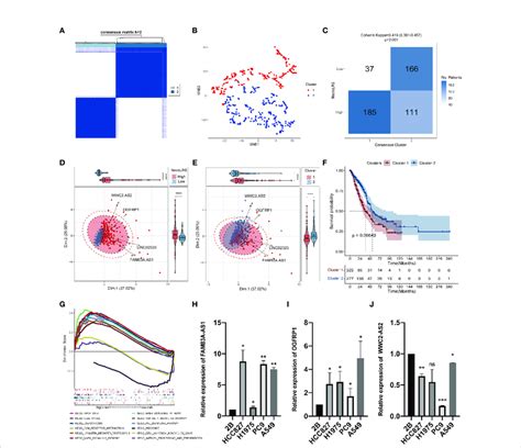 In Vitro Expression And Unsupervised Clustering Based On Download