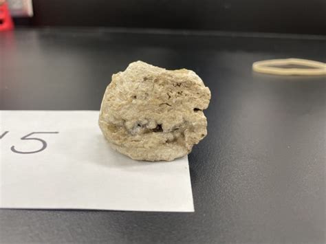 Sed Rocks Geo All Flashcards Quizlet Sed Rocks Geo All Flashcards Quizlet