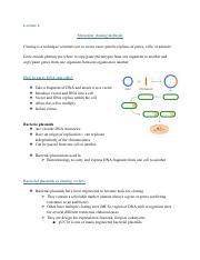 Mastering Molecular Cloning Techniques Tools And Applications Course Hero