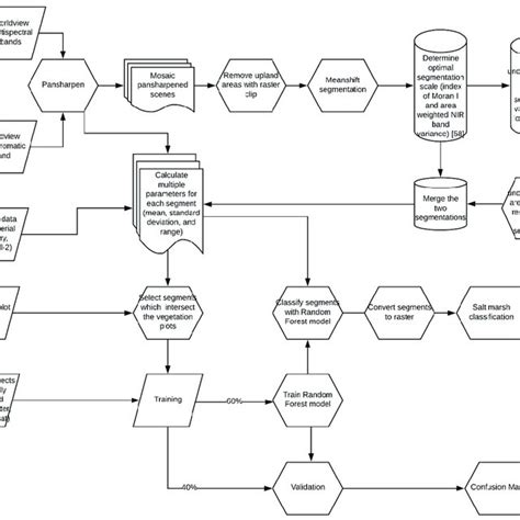 the data processing and classification workflow for classification of