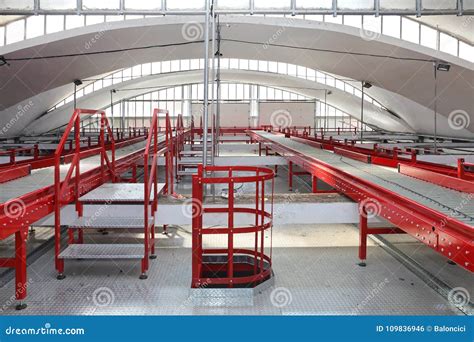 Sorting Conveyors Stock Photo Image Of Industrial Industry