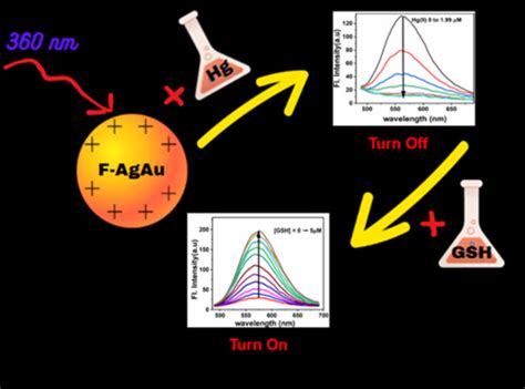 Rapid And Sensitive Glutathione Detection Using Water‐soluble Fluorescent Bimetallic