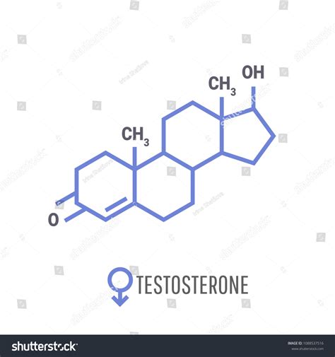 Sex Hormones Molecular Formula Testosterone Hormones 스톡 벡터로열티 프리
