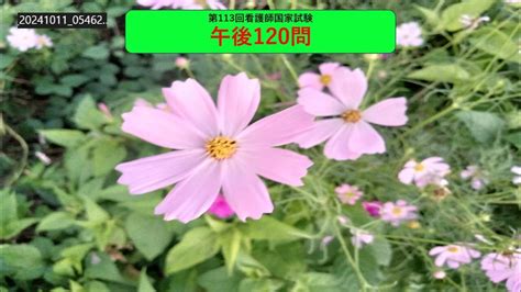 事実から考え、学び合う！ 「第664回」 プリセプティーとは「後輩」を意味し、プリセプターは指導する「先輩」である。 Youtube