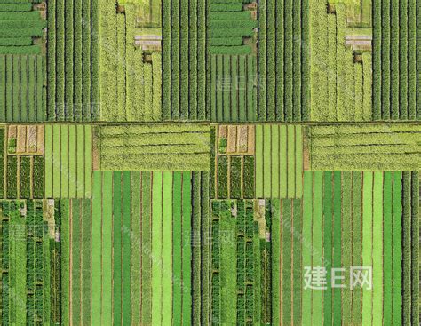 高清农田梯田鸟瞰周边地面田野草地卫星地图3d贴图下载 Id106061480 建e贴图