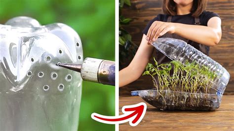 Выращивание и уход за растениями дома и в саду 🌱 Youtube