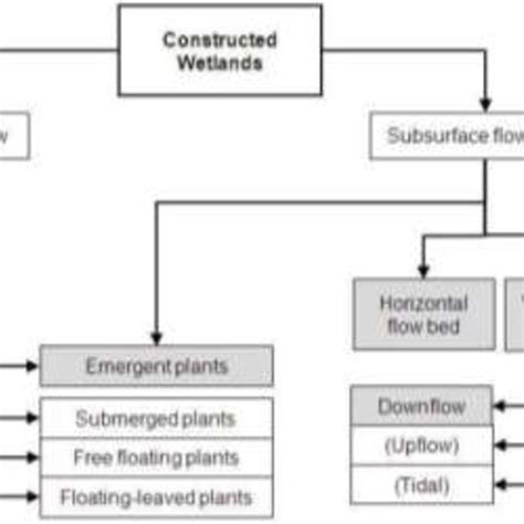 Classification Of Constructed Wetlands Download Scientific Diagram