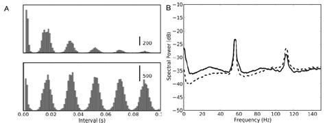 Spike Interval Distribution Autocorrelation Histogram And Spike Power