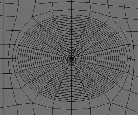 Focused Mesh Around Crack Tip Download Scientific Diagram