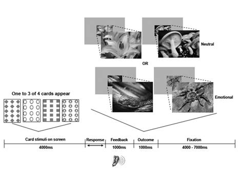 Trial Structure Of The Modified Weather Prediction Task Participants Download Scientific