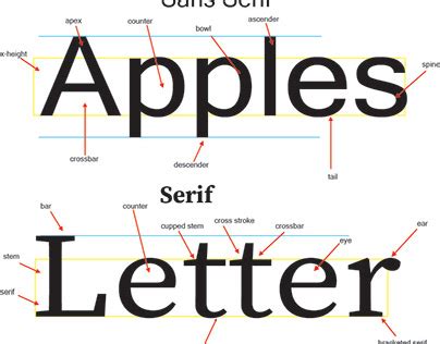 Letter Anatomy Projects Photos Videos Logos Illustrations And