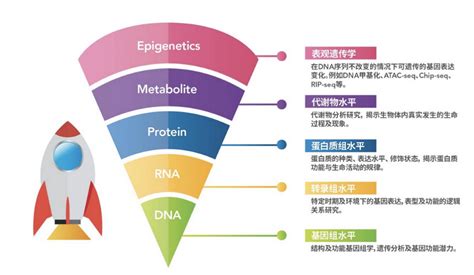 干货第一弹！多组学联合分析之代谢组faqcompound Discovery代谢组学中80个样本 Csdn博客