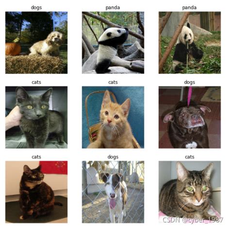 【tensorflow 2】使用迁移学习（mobilenet）完成图像分类任务tensorflow2 Mobilenet Csdn博客