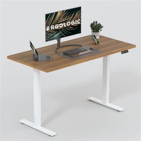 Sit Stand Desk India Motorized Electric Sit And Stand Desk