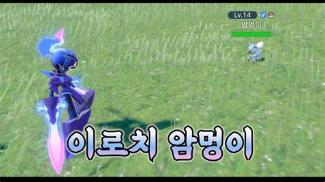 이로치 암멍이 잡은 위치 빛부 X 샌드위치x Youtube