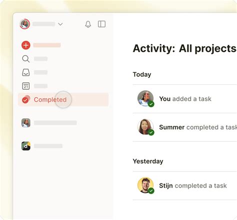 Manage Team Tasks In Todoist
