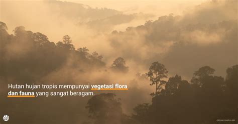 riki rahmansyah posted on linkedin