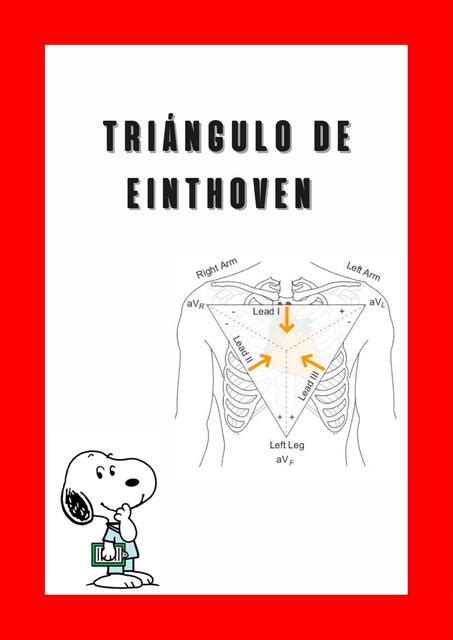 Triángulo De Einthoven Mila Udocz