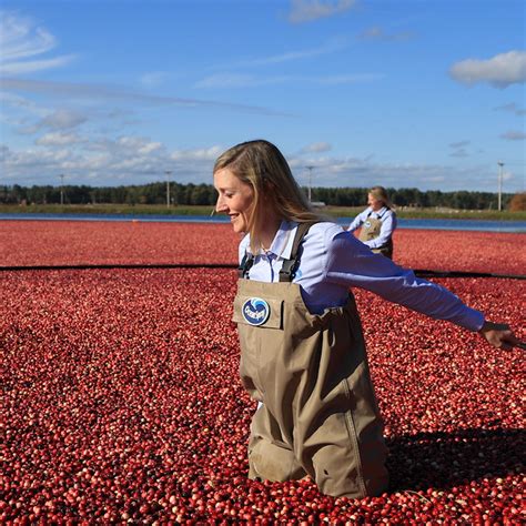 Bill Buss Posted On Linkedin