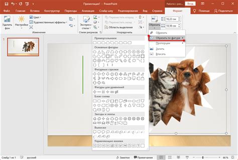 Пошаговая инструкция по обрезке фото в Powerpoint