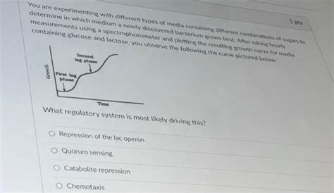 Solved You Are Experimenting With Different Types Of Media