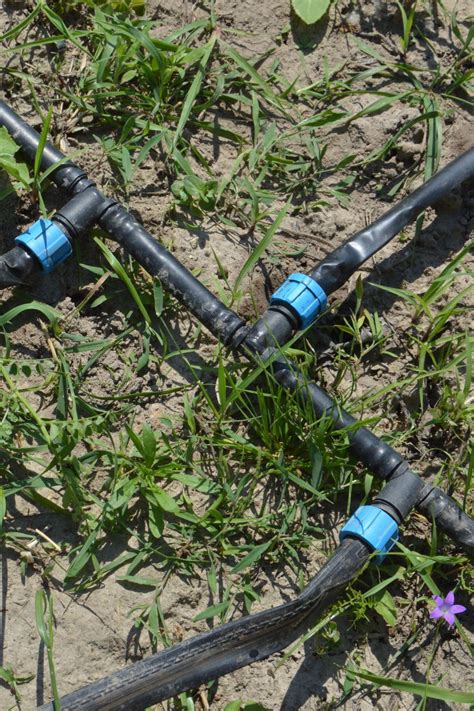 Drip Irrigation Tubing Artofit