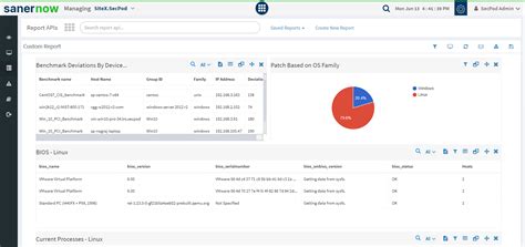 Linux Vulnerability Management Saner CVEM