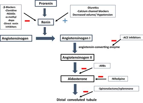 Primary Hyperaldosteronism Medical Clinics