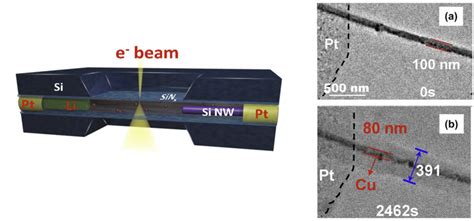 Journal Of Materials Research Publishes Review Article On In Situ Tem