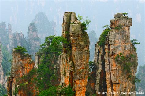 Stone Pillars In Zhangjiajie Print Photos Fine Art Landscape