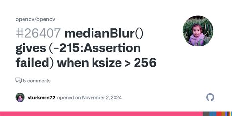 Medianblur Gives 215 Assertion Failed When Ksize 256 · Issue 26407 · Opencv Opencv · Github