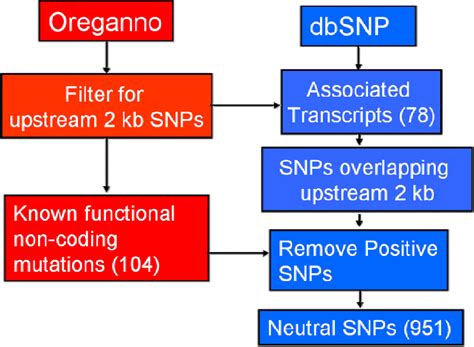 Flowchart Describing Training Data Acquisition For Non Coding Snp