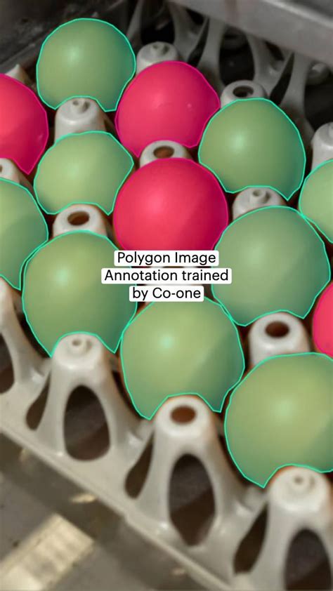 Polygon Image Annotation Trained By Co One