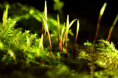 Gallery Withymead Nature Reserve