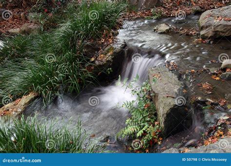 What Is A Small Brook At Samantha Brabyn Blog