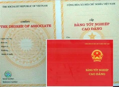 Mẫu Bằng Cao Đẳng Chính Quy Hướng Dẫn Chi Tiết Và Những Lưu Ý Quan Trọng 2025