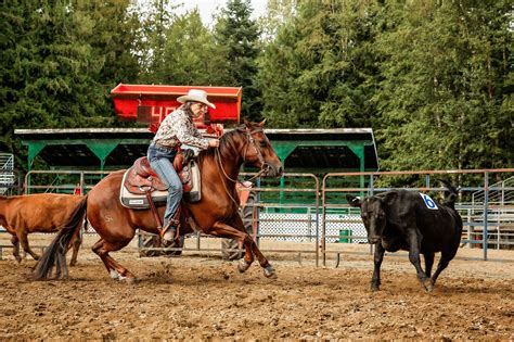 Ranch Sorting