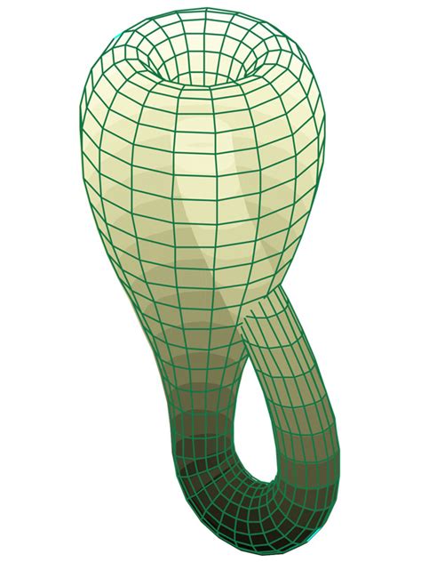 Bouteille De Klein Science And Nature Le Dindon