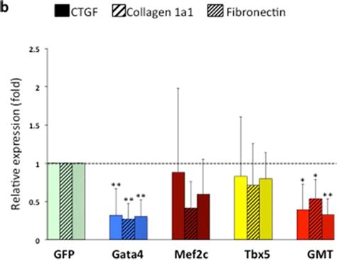 Cardiac Reprogramming Factor Gata4 Reduces Post Infarct Cardiac Fibrosis Through Direct