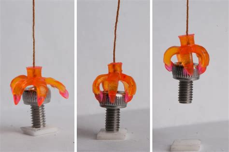 3 d printed structures that “remember” their shapes wisdom to live