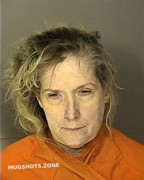 Tomko Tracy Lee Gordon 11 09 2024 Horry County Mugshots Zone