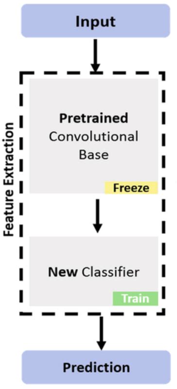 Finetuning Large Language Models LLMs