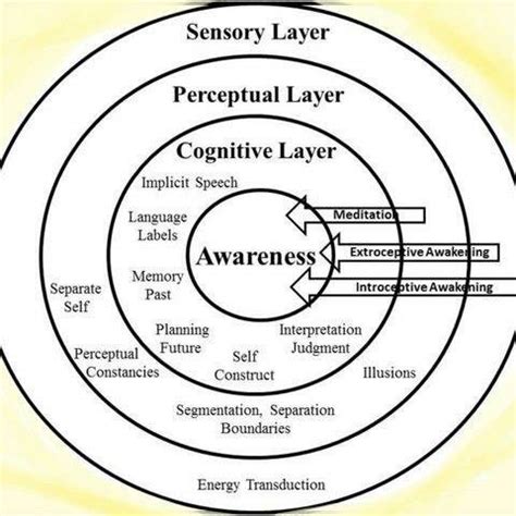 A Model Of The Layers Of Processing Producing Adult Human Experience Download Scientific