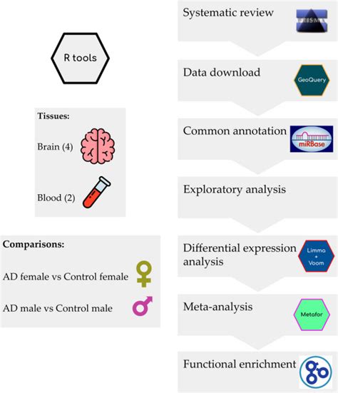 The Role Of Micrornas In Understanding Sex Based Differences In Alzheimers Disease Pmc